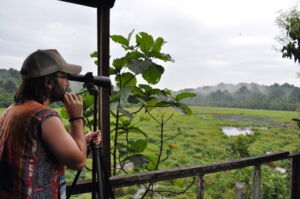 Nouabalé-Ndoki 10 Days Tour - Congo Travel and Tours