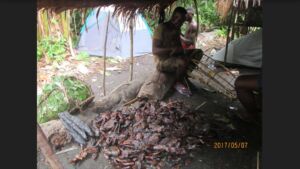 Lake Tele Expedition - Congo Travel and Tours