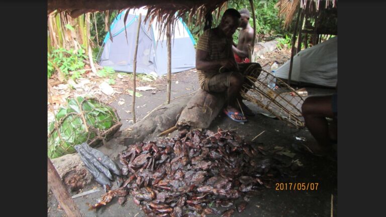 Lake Tele Expedition - Congo Travel and Tours