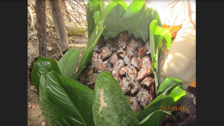 Lake Tele Expedition - Congo Travel and Tours