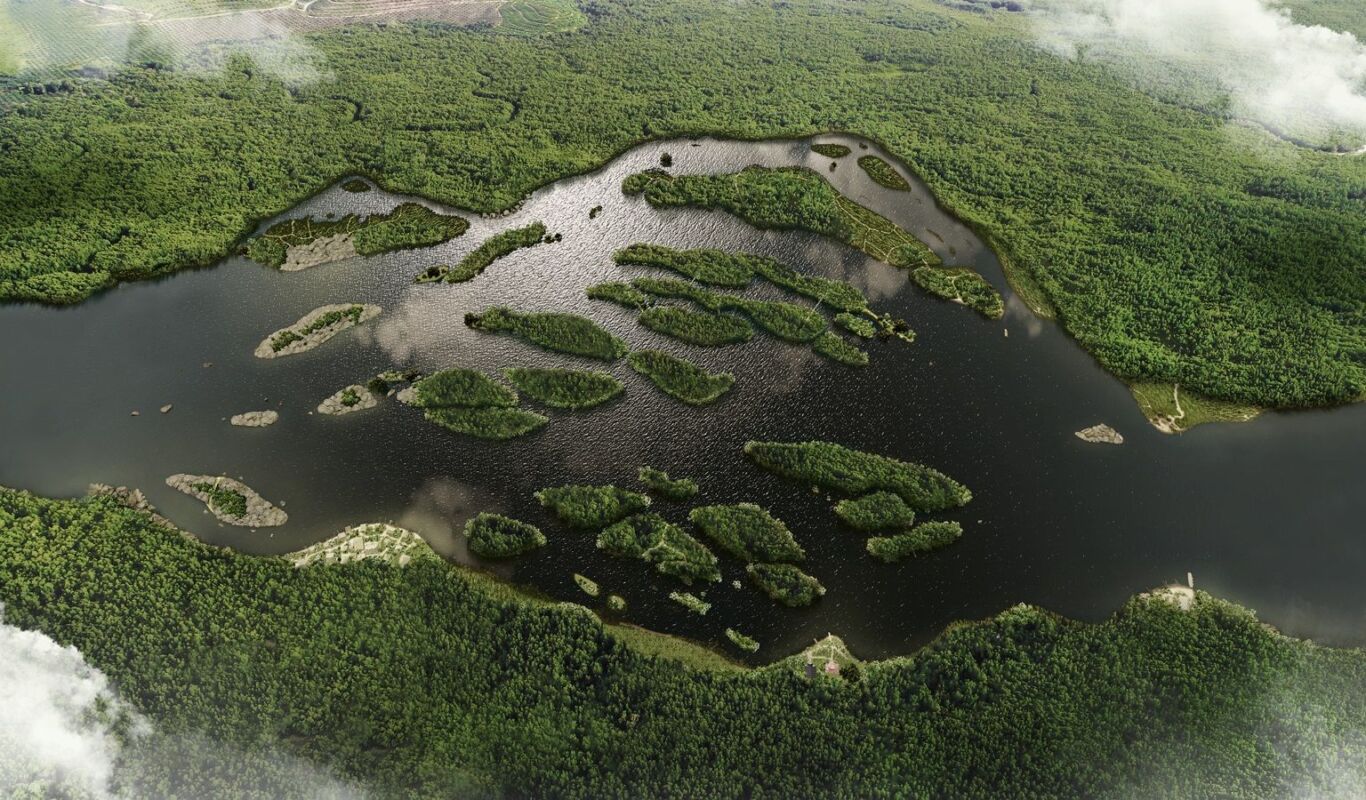 Congo-Brazzaville Tours - Tours in the Republic of the Congo