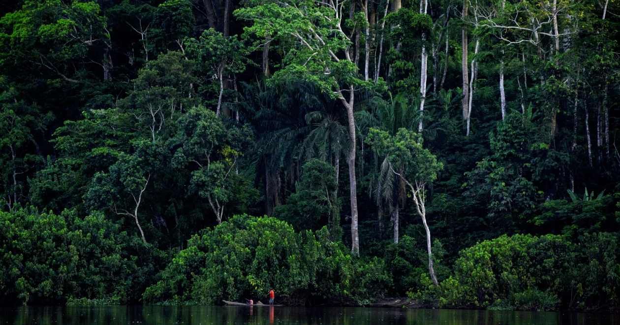 Deep exploration of the Congo-Basin by boat: riverlife, fishing and ...