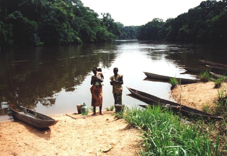 Safari with gorilla tracking in Odzala National Park and Nouabale-Ndoki ...