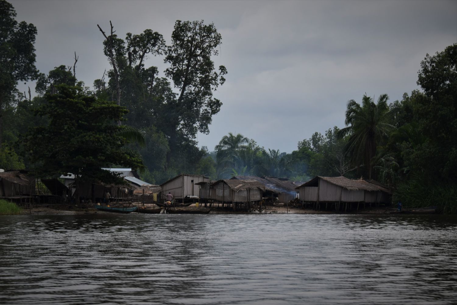 Introduction to the two Congos