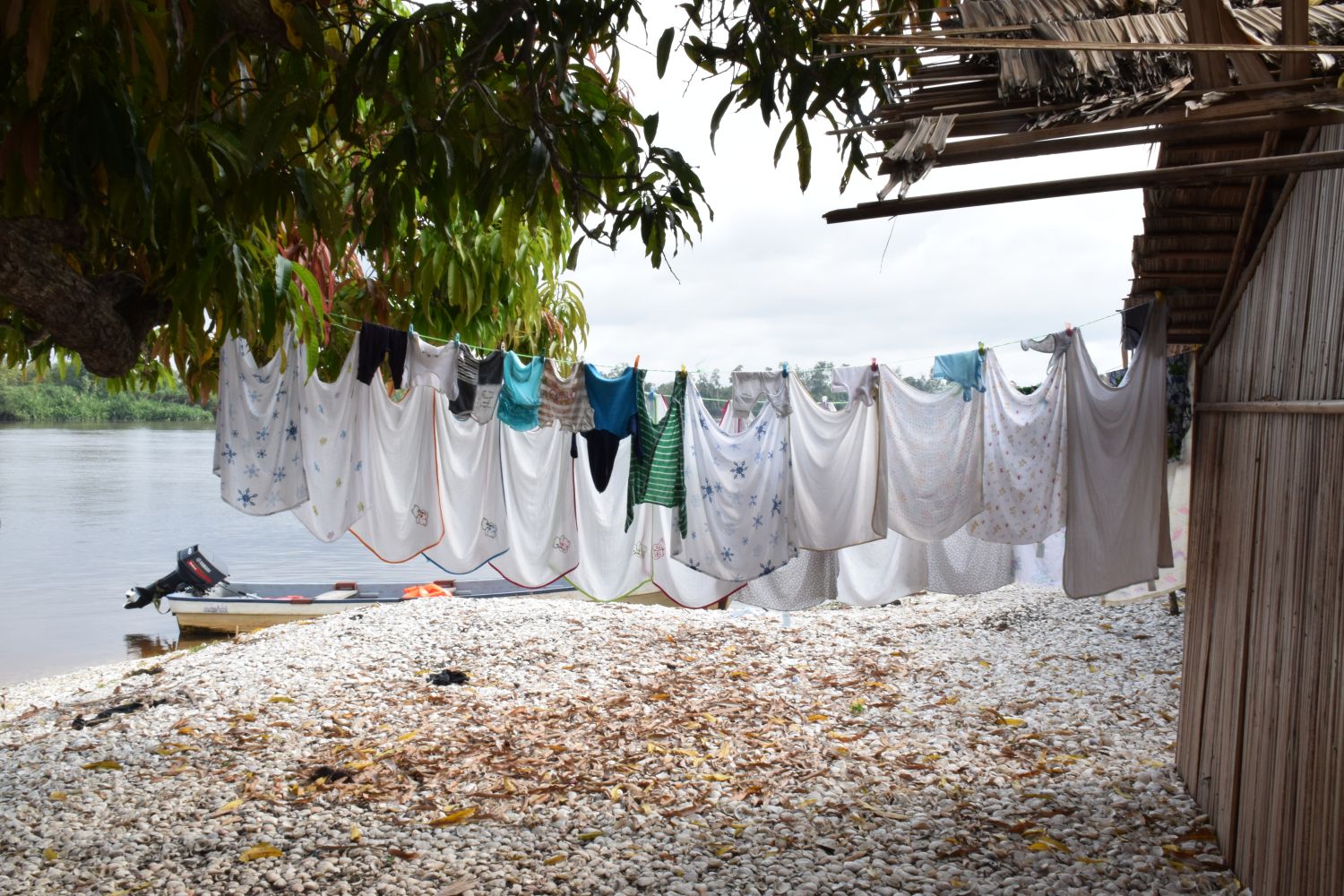 Introduction to the two Congos