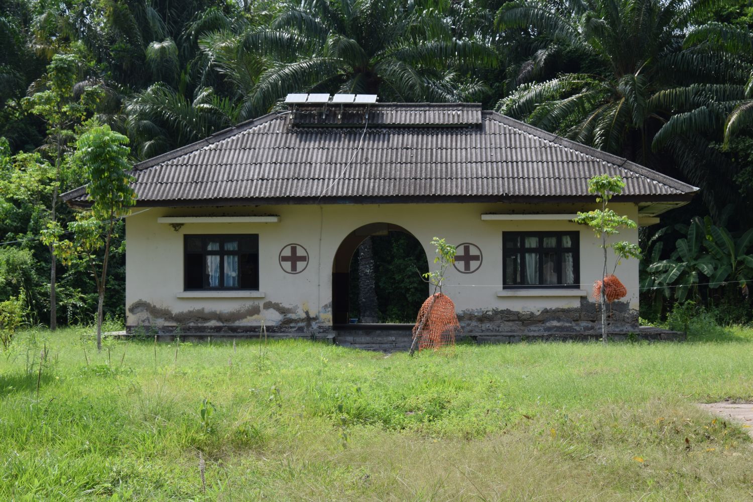 Introduction to the two Congos