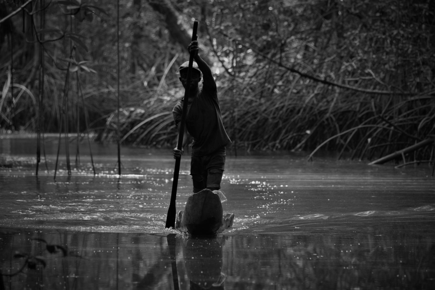 The National Parks of the Democratic Republic of the Congo