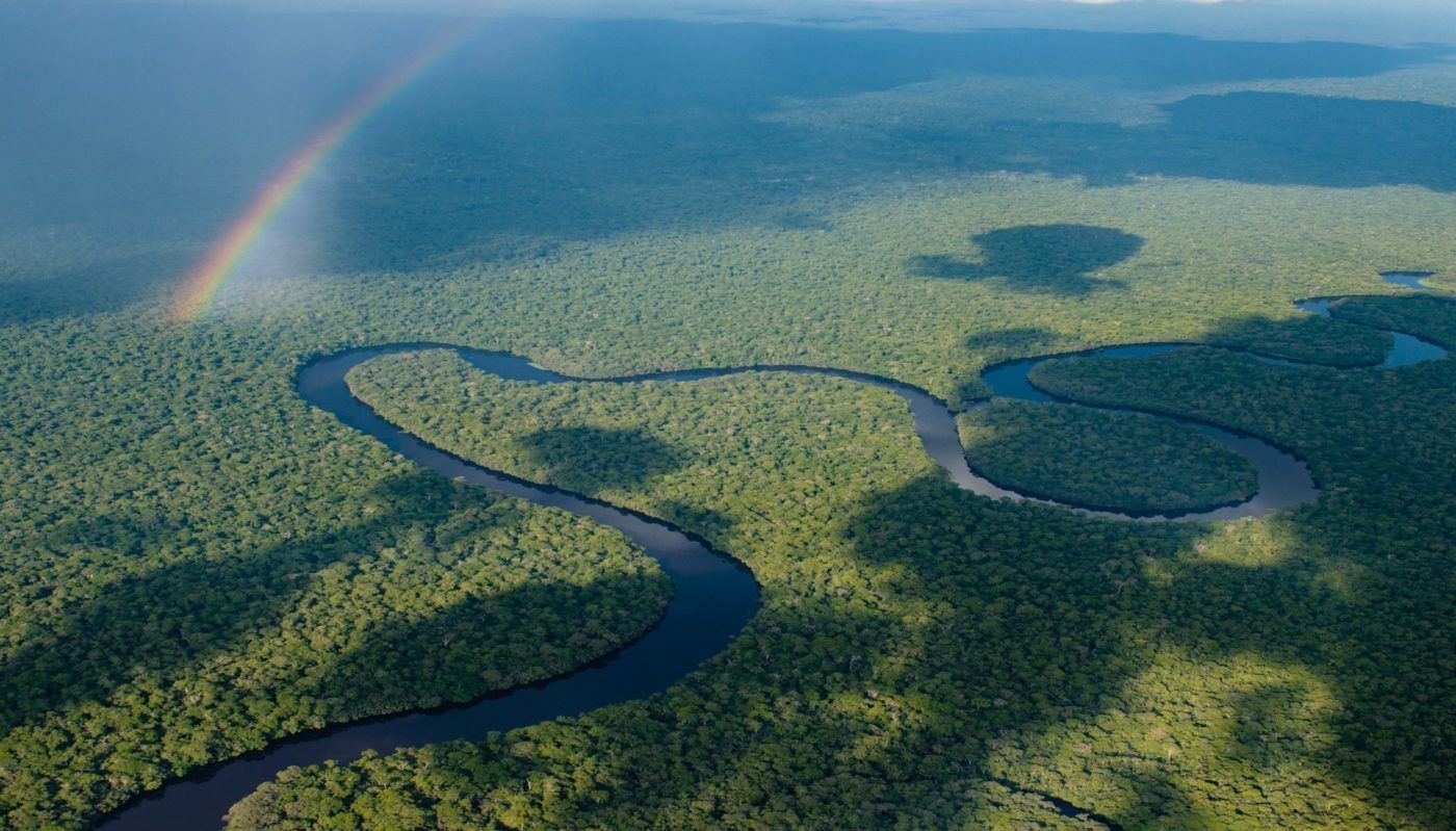 The National Parks of the Democratic Republic of the Congo