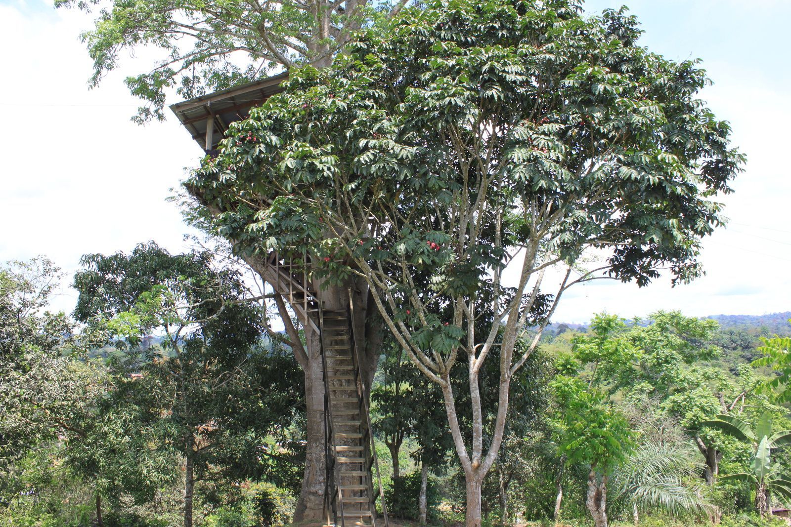 The most beautiful experiences and destinations in Congo-Kinshasa and ...