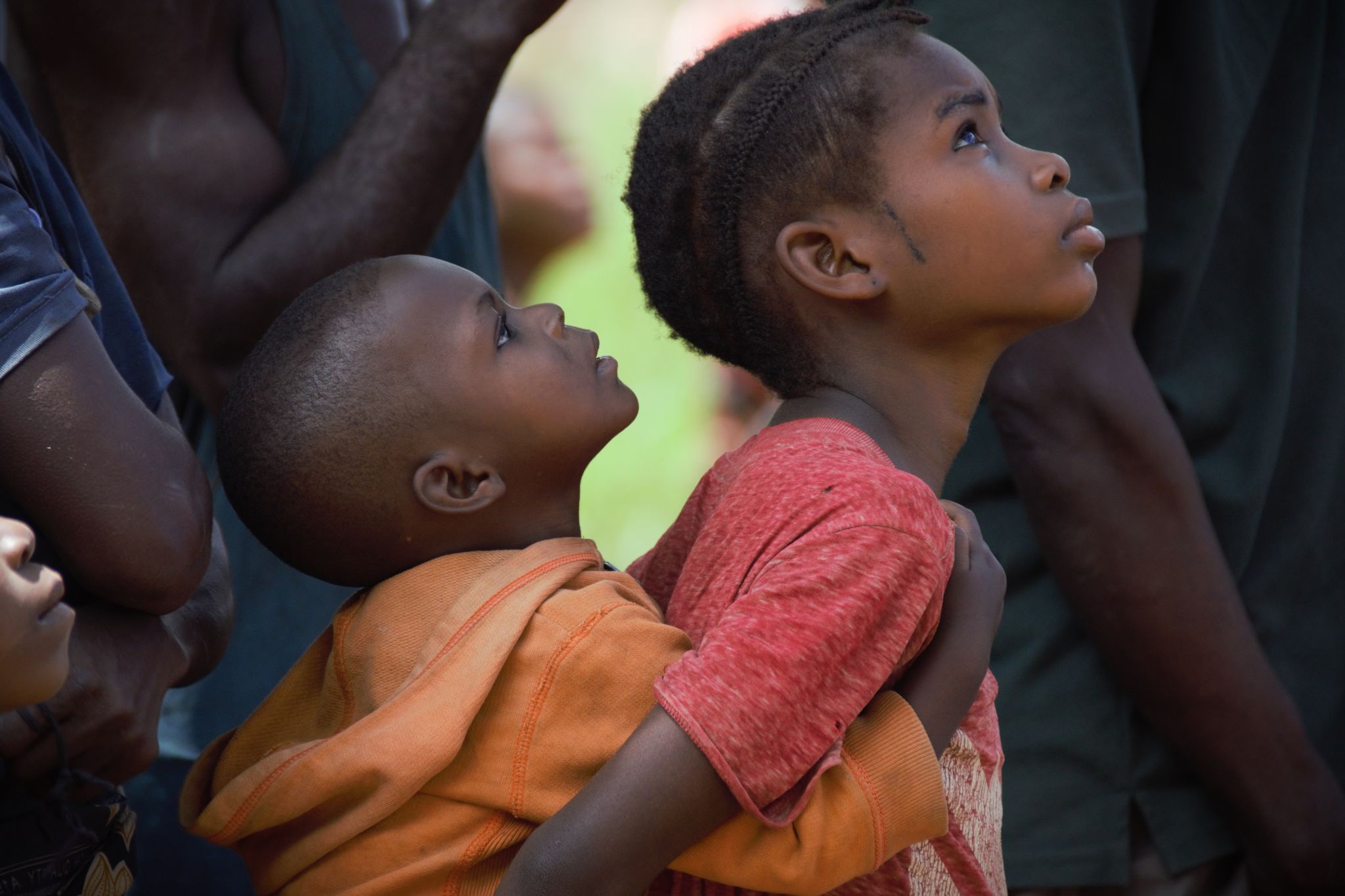 Visit wild bonobos north of Kinshasa in Congo and pygmy tribe tour in ...