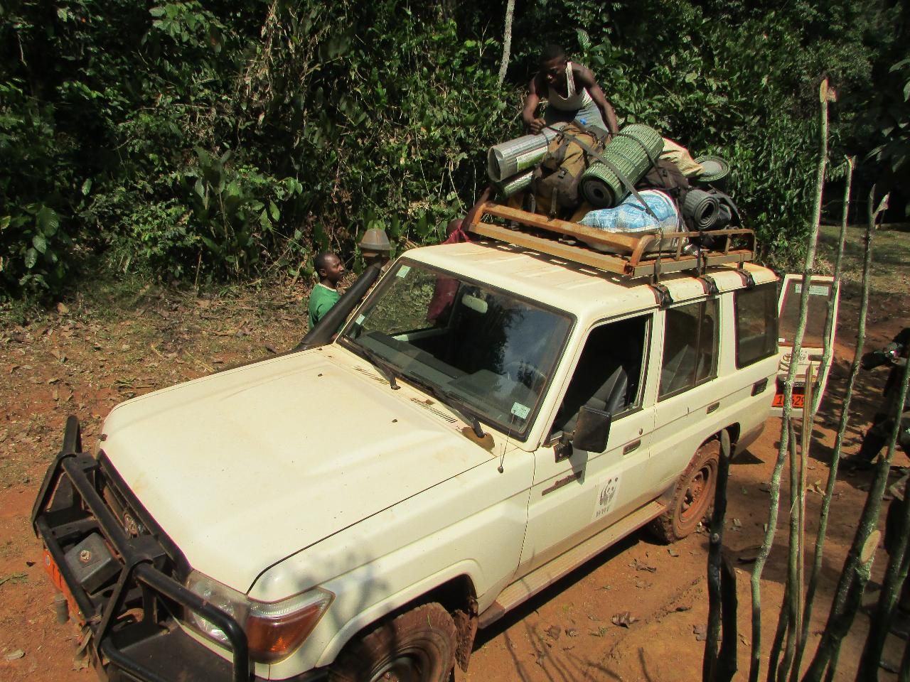 Travel programme for Dzanga Sangha, Nouabalé Ndoki and Lobéké with ...