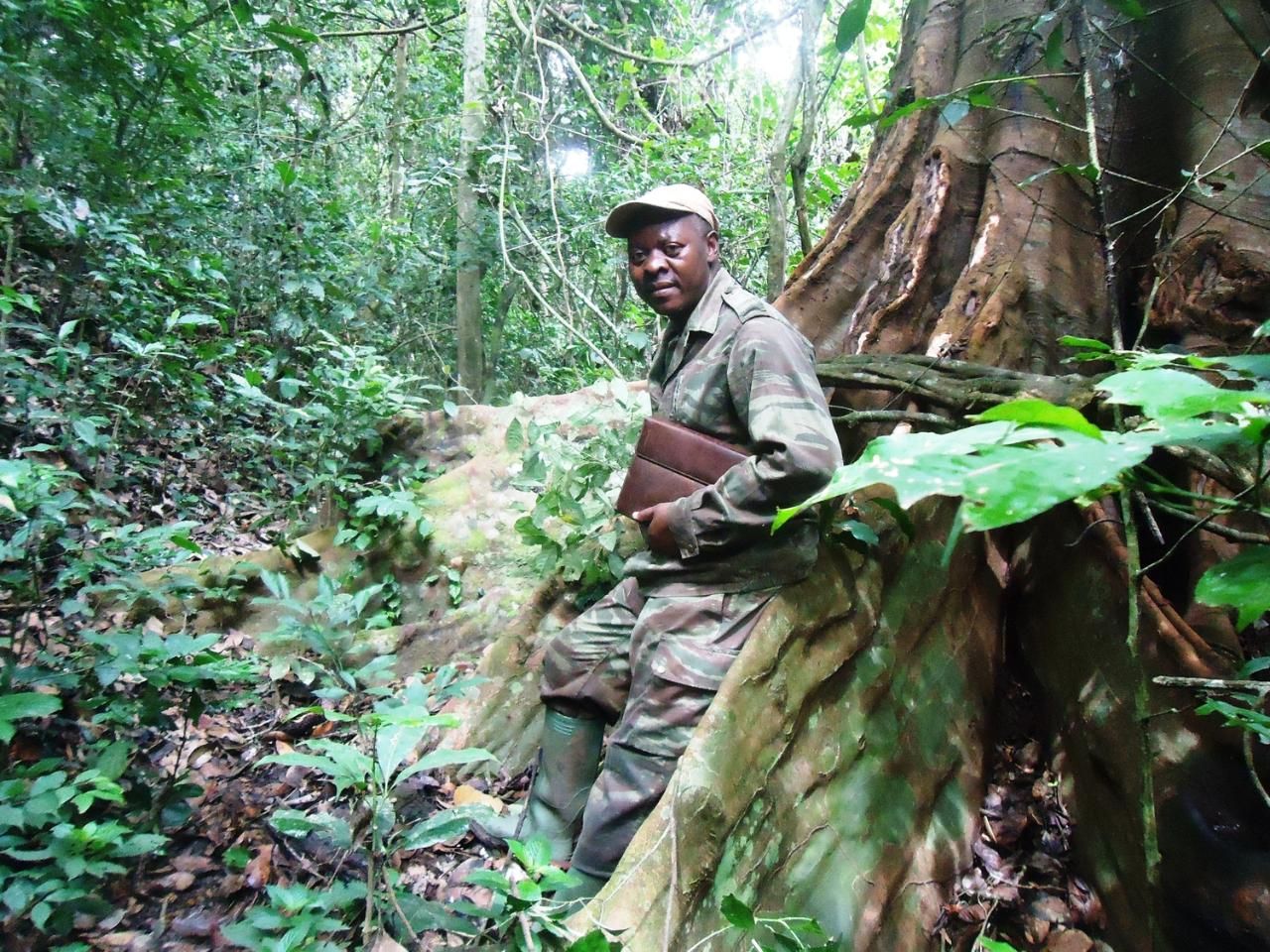 Travel programme for Dzanga Sangha, Nouabalé Ndoki and Lobéké with ...