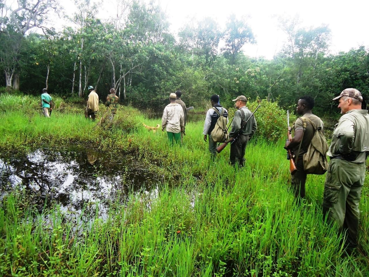 Travel programme for Dzanga Sangha, Nouabalé Ndoki and Lobéké with ...