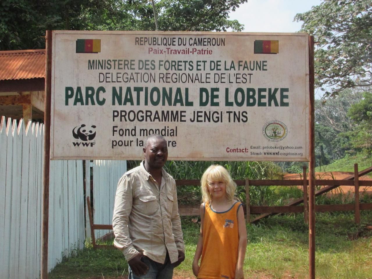 Travel programme for Dzanga Sangha, Nouabalé Ndoki and Lobéké with ...