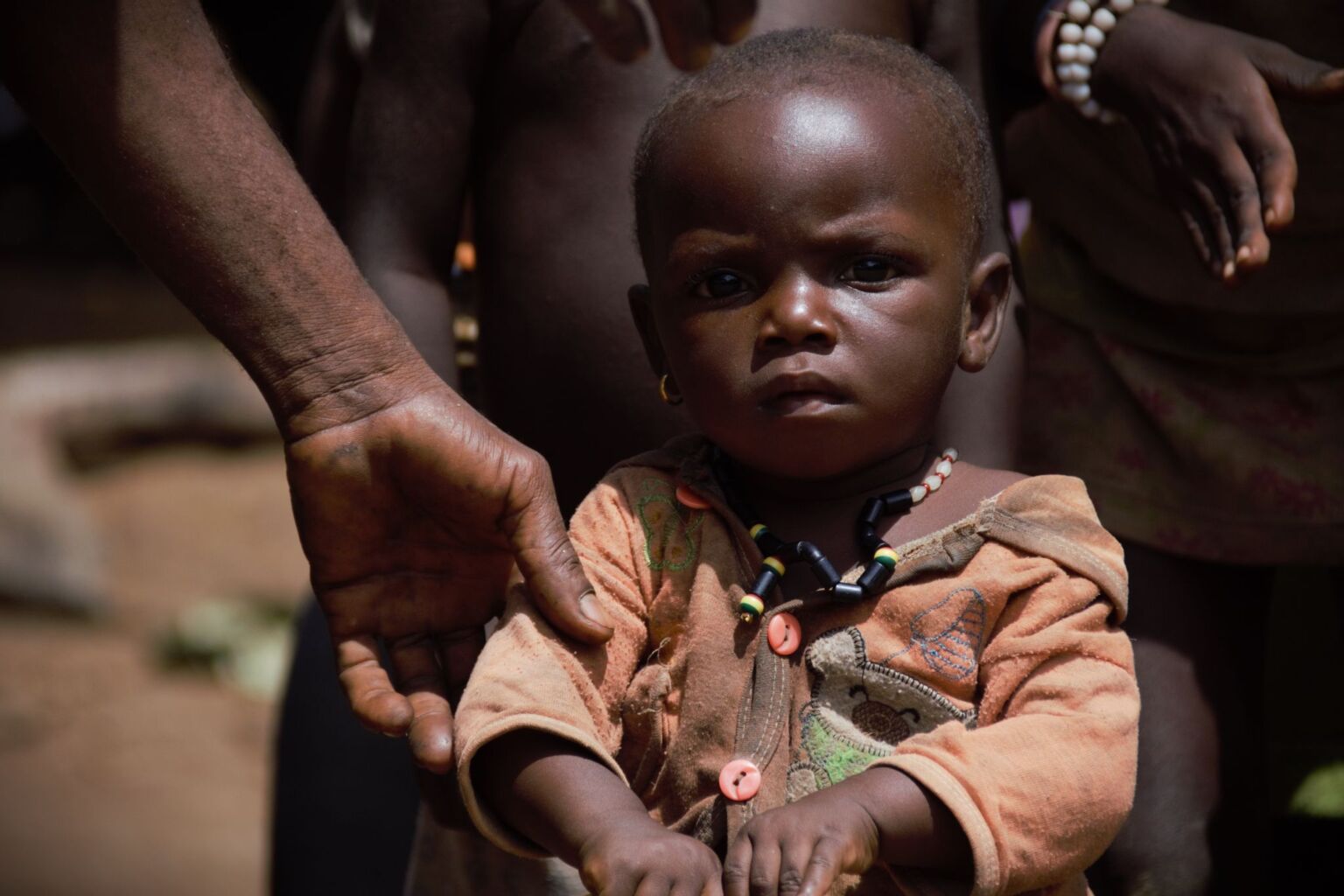 Visit wild bonobos north of Kinshasa in Congo and pygmy tribe tour in ...