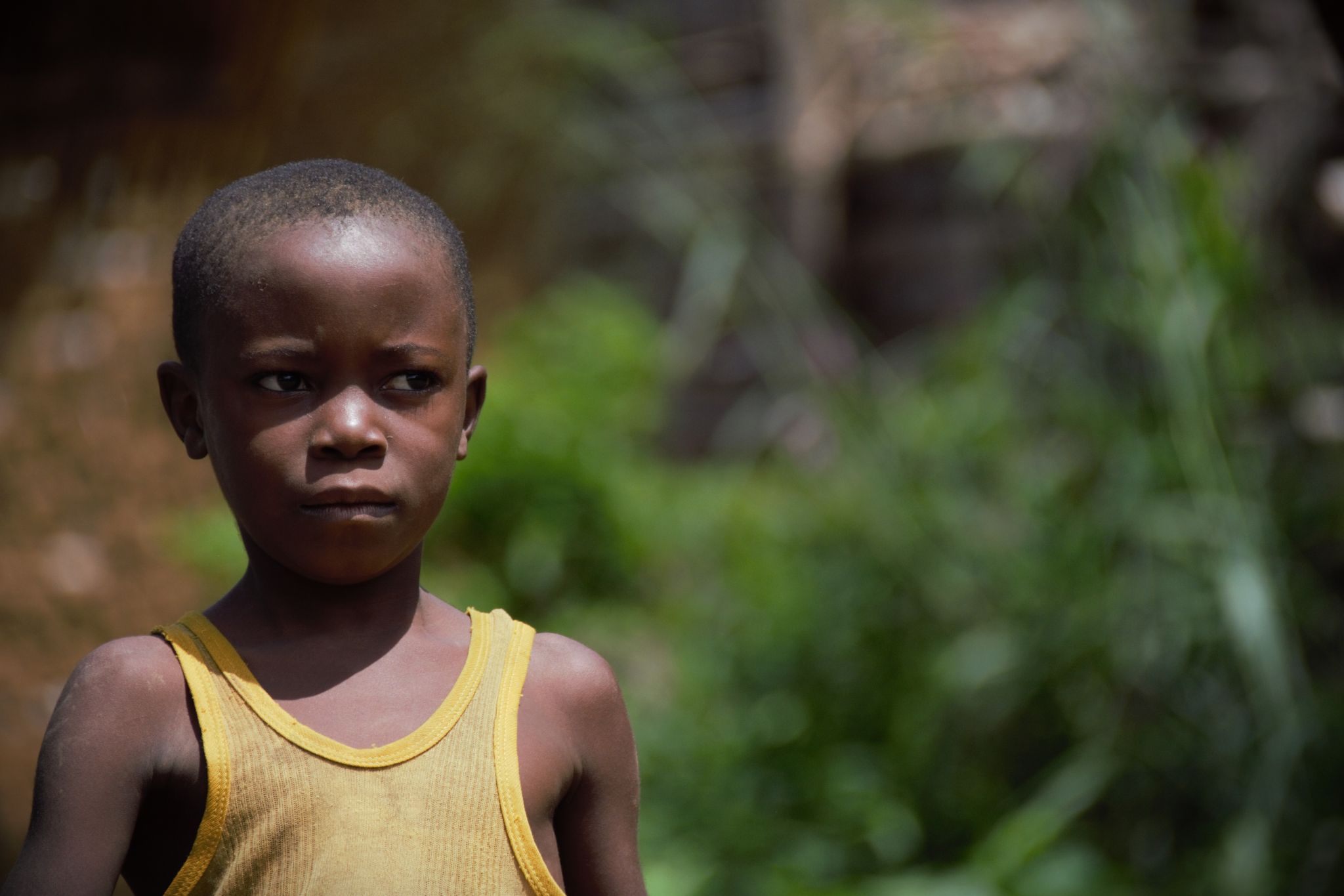 Visit wild bonobos north of Kinshasa in Congo and pygmy tribe tour in ...