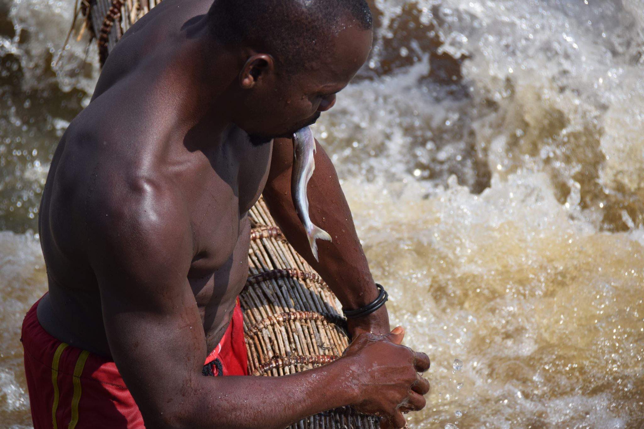 Visit the pygmy tribes of Mbandaka and the Wagenia fishermen of ...