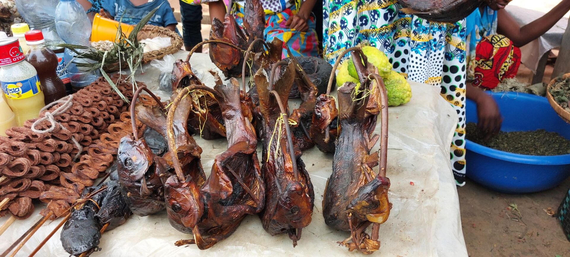 City Tour to Kananga in Congo Kinshasa: travel to Kananga with Congo ...