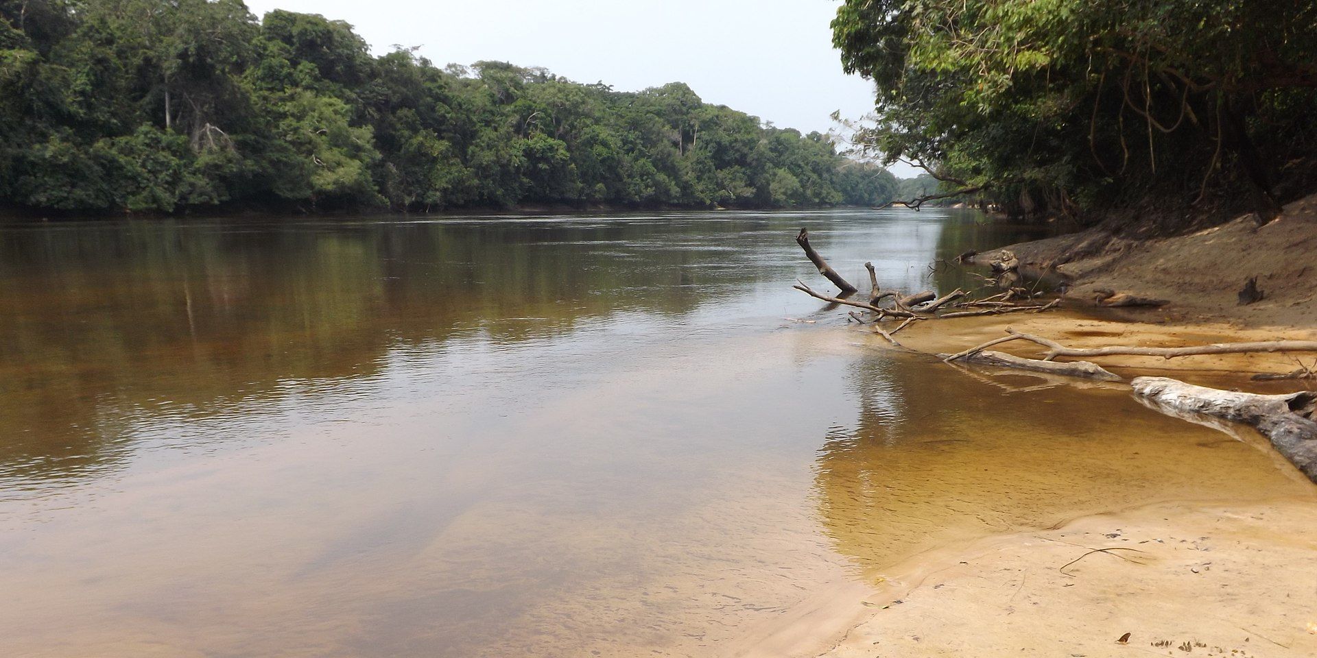 Travel to Lomami National Park in the Democratic Republic of the Congo ...