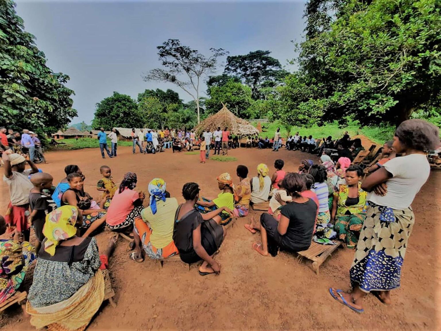 Bili Ape expedition in Bili forest near Bondo: chimpanzee and wildlife ...